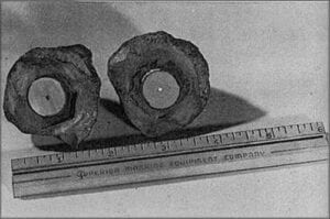 500,000 Year-Old Spark Plug Found in Rock: The Coso Artifact - The ...