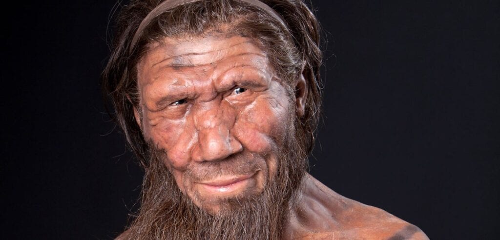 Researchers To Grow Mini Neanderthal Brains In A Lab - The Event Chronicle