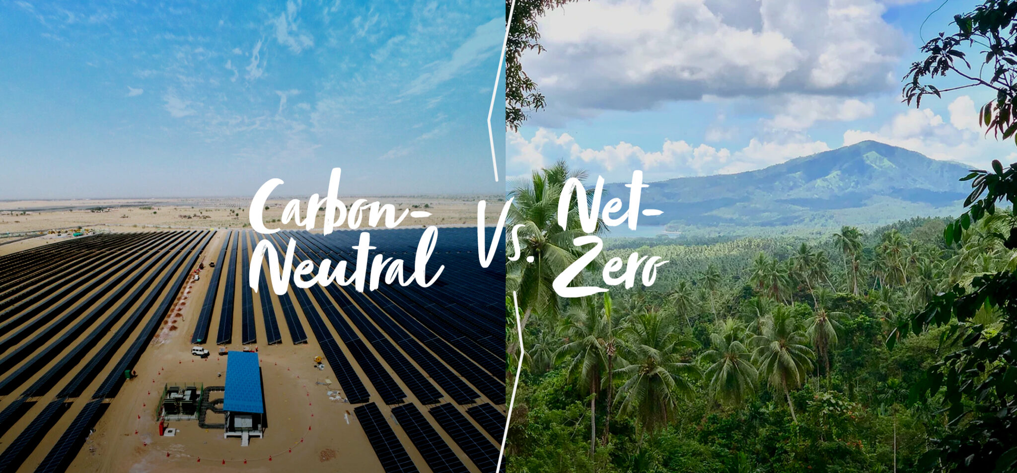 A Beginner's Guide to Carbon Neutral Certification - The Event Chronicle