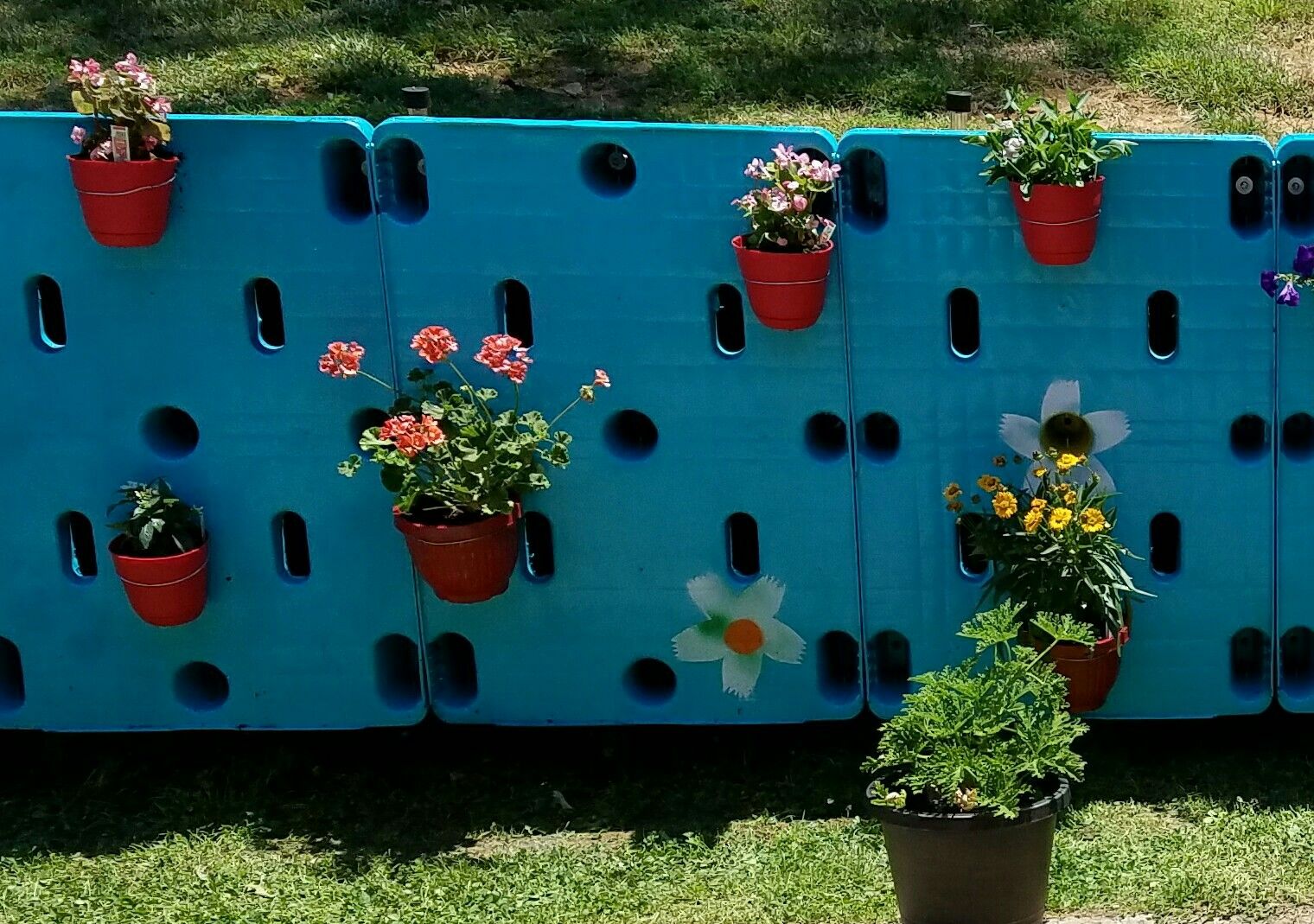 Innovative Uses of Plastic Pallets: From Vertical Gardening to DIY ...