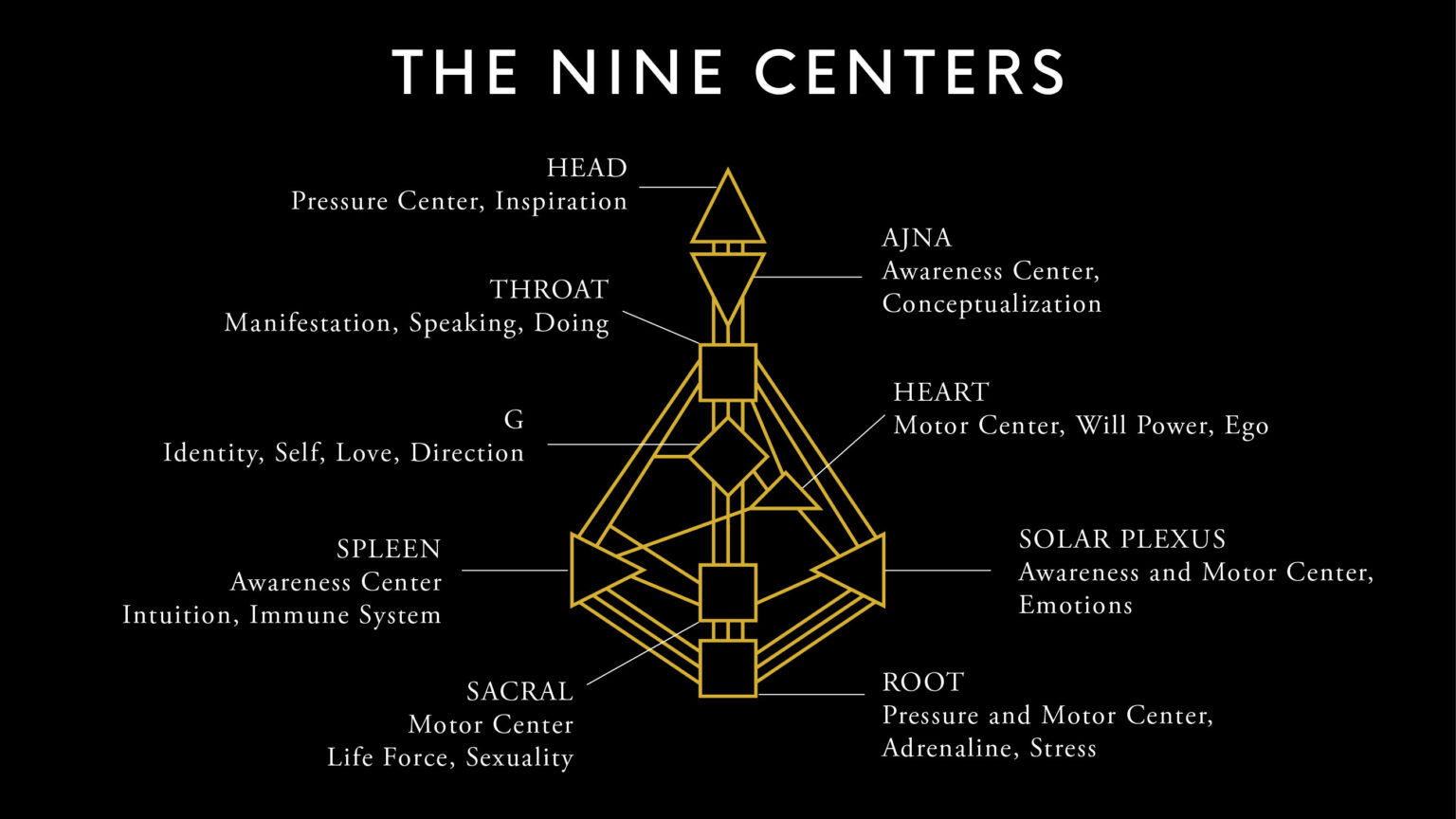 Role of Centers in the Human Design System: What They Mean and How to ...