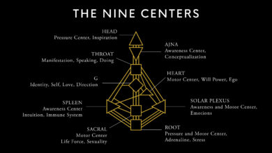 Role of Centers in the Human Design System: What They Mean and How to ...