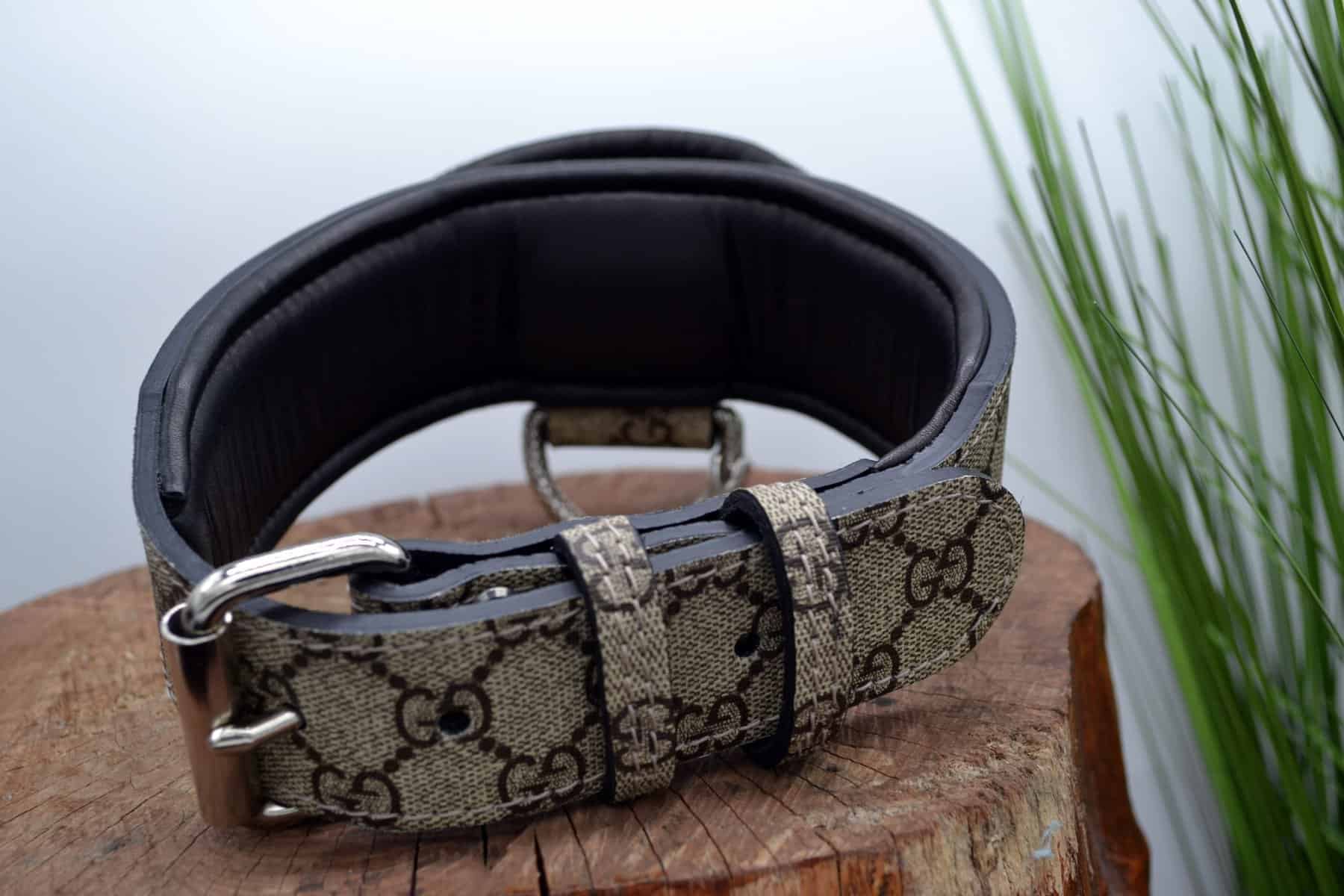 How to Choose the Perfect Gucci Dog Collar for Your Furry Friend - The ...